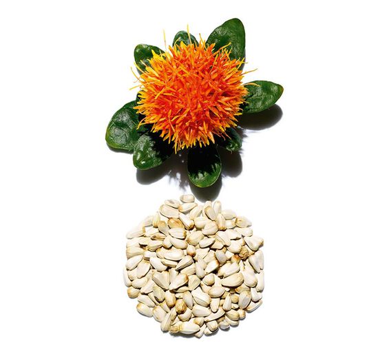 Safflower | CLARINS®